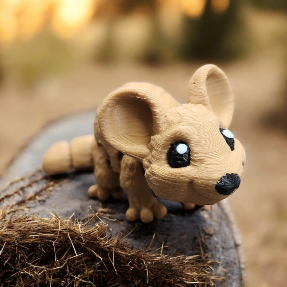 Catch a Critter Game – Down To Earth Designz